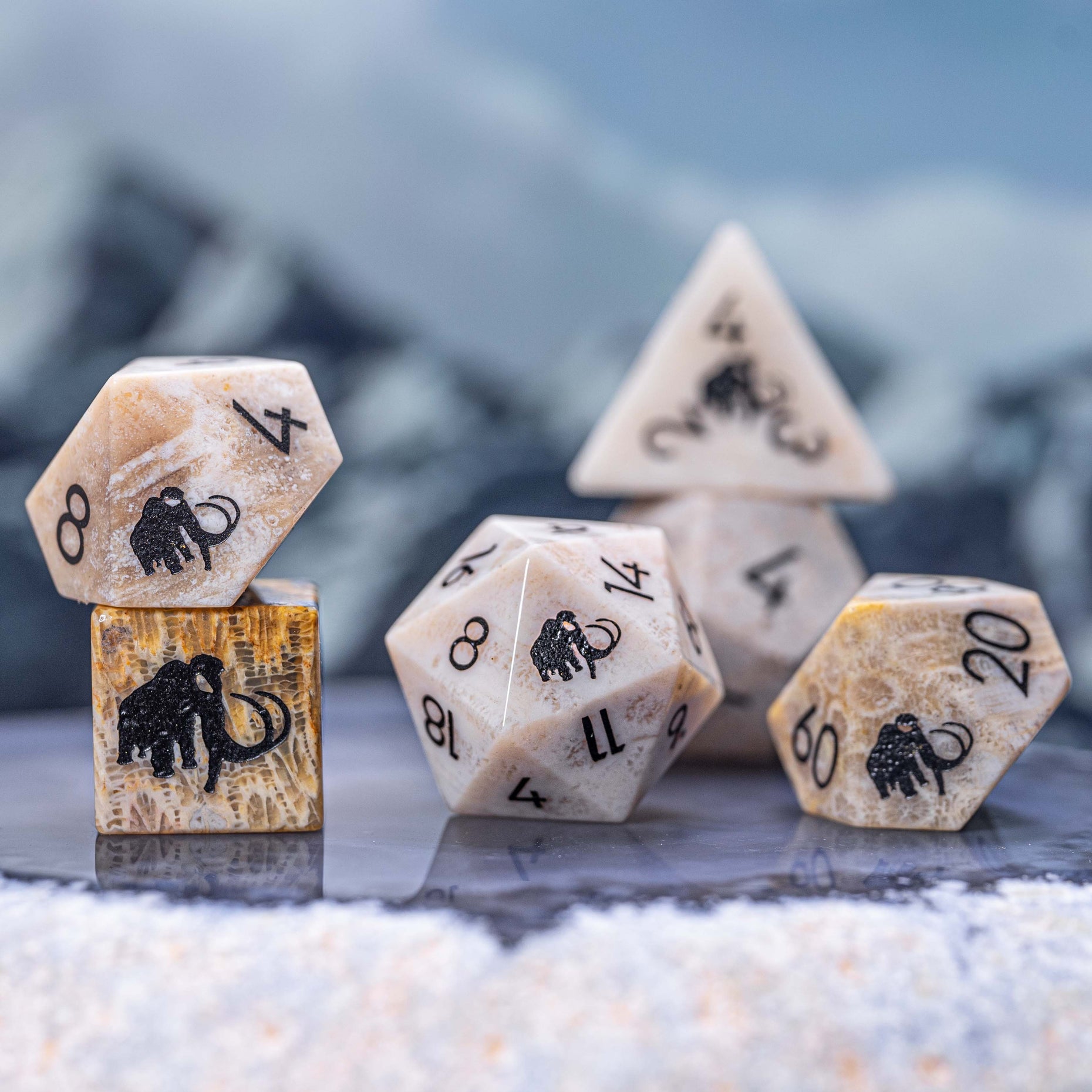 URWizards D&D Coral Fossil Gemstone Engraved Dice Set Mammoth – Urwizards